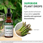 Sparga tincture promotes digestive health