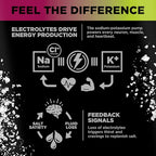 sparkling electrolyte drink for workouts