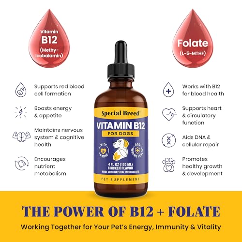 Special Breed B12 for immune support