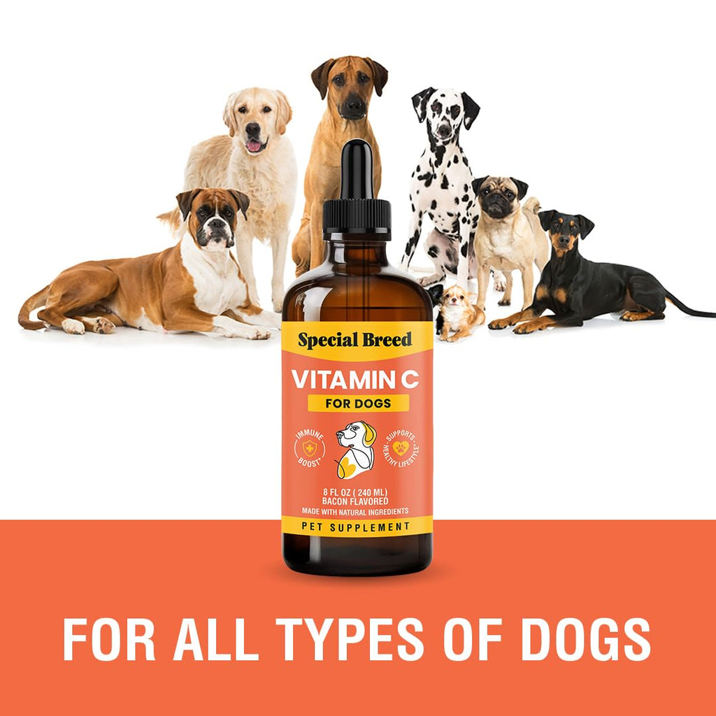 special breed dog vitamin C