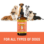 special breed dog vitamin C