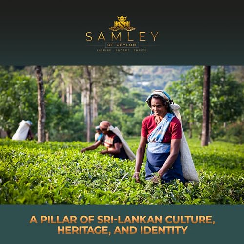 specialty grade green tea experience