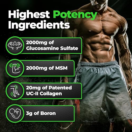 Species Nutrition Arthrolyze Joint Repair Supplement with UC-II Collagen, MSM, Glucosamine & Chondroitin - 300 Capsules of High Potency Joint Support - 10