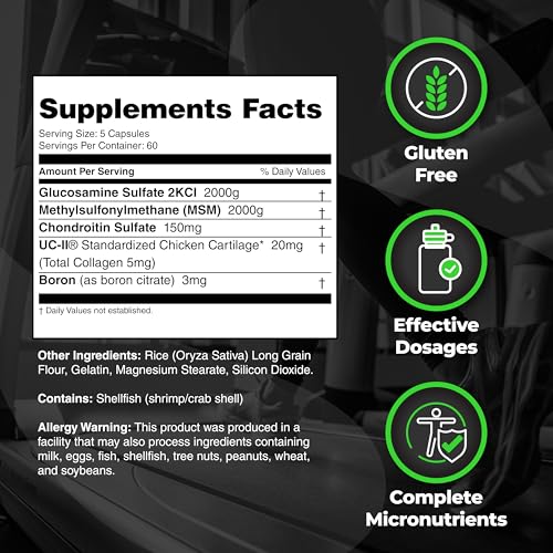 Species Nutrition Arthrolyze Joint Repair Supplement with UC-II Collagen, MSM, Glucosamine & Chondroitin - 300 Capsules of High Potency Joint Support - 6