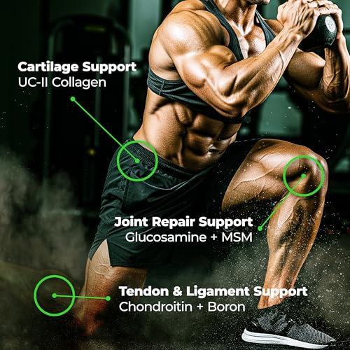 Species Nutrition Arthrolyze Joint Repair Supplement with UC-II Collagen, MSM, Glucosamine & Chondroitin - 300 Capsules of High Potency Joint Support - 8
