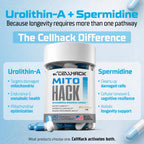 Spermidine capsules for athletic performance
