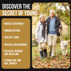Spermidine capsules for cellular health