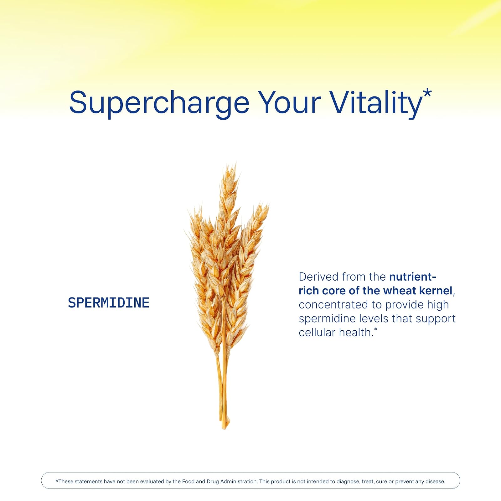Spermidine capsules for immune support