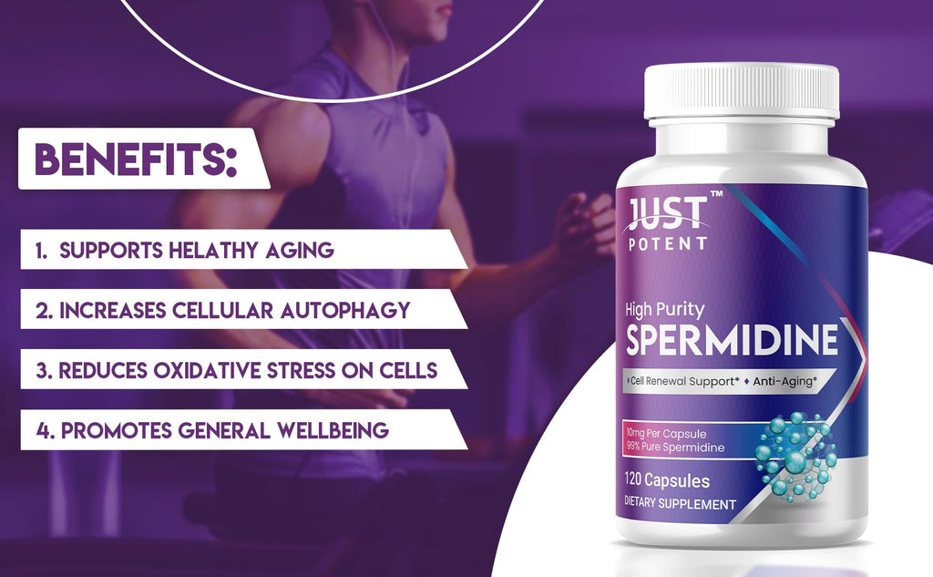spermidine capsules support cell renewal