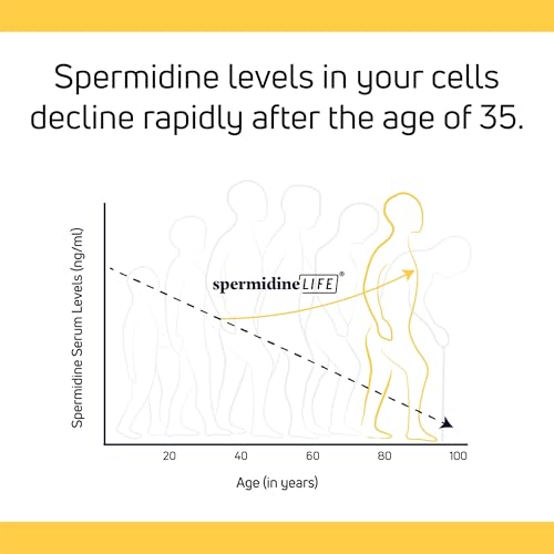 spermidine for cellular health