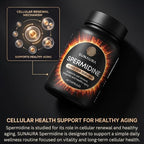 Spermidine for cellular rejuvenation