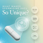 spermidine for enhanced cellular health