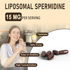 Spermidine for enhanced cellular health