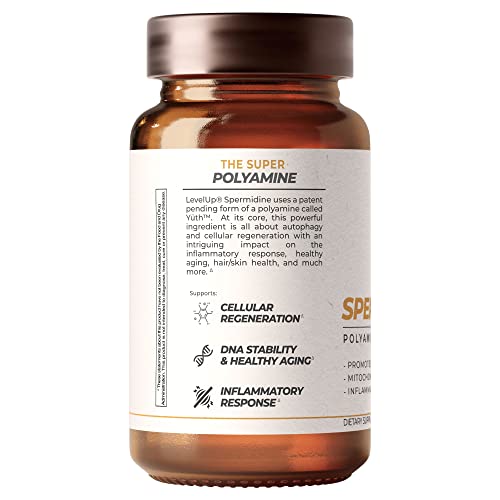 spermidine for enhanced cellular health