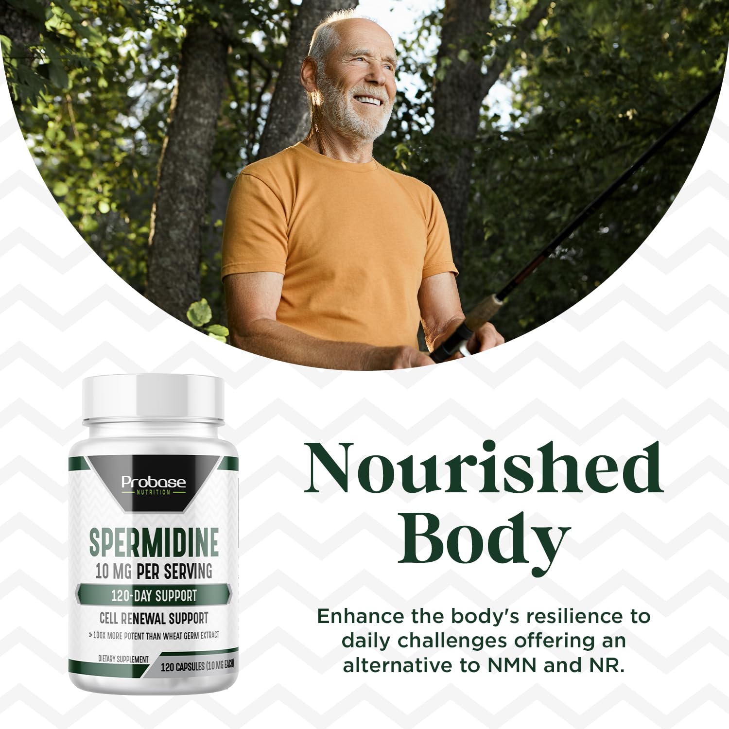 spermidine for enhanced cellular health