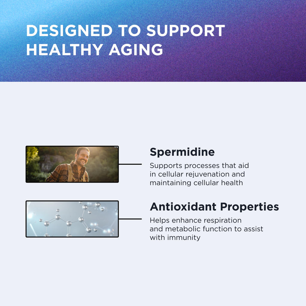 Spermidine for enhanced cellular health