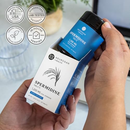 Spermidine for enhanced mental clarity