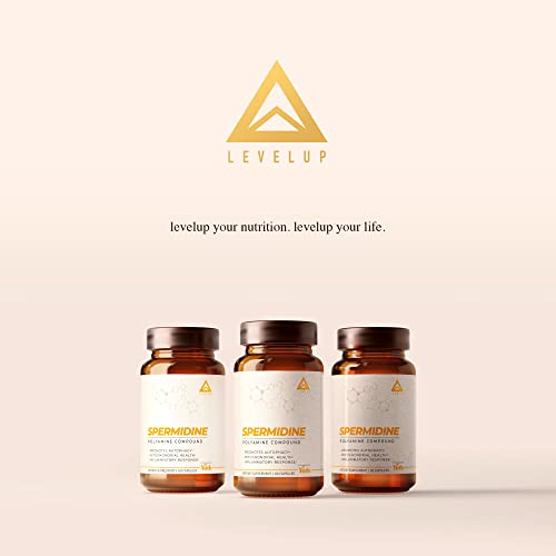 spermidine for healthy aging solutions