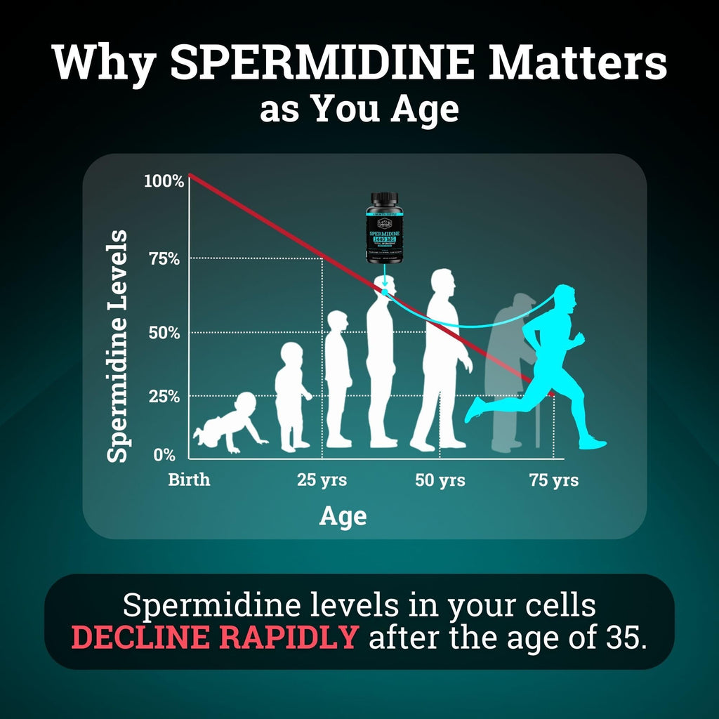 spermidine for improved energy levels