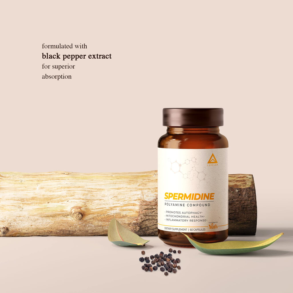 spermidine for longevity and wellness