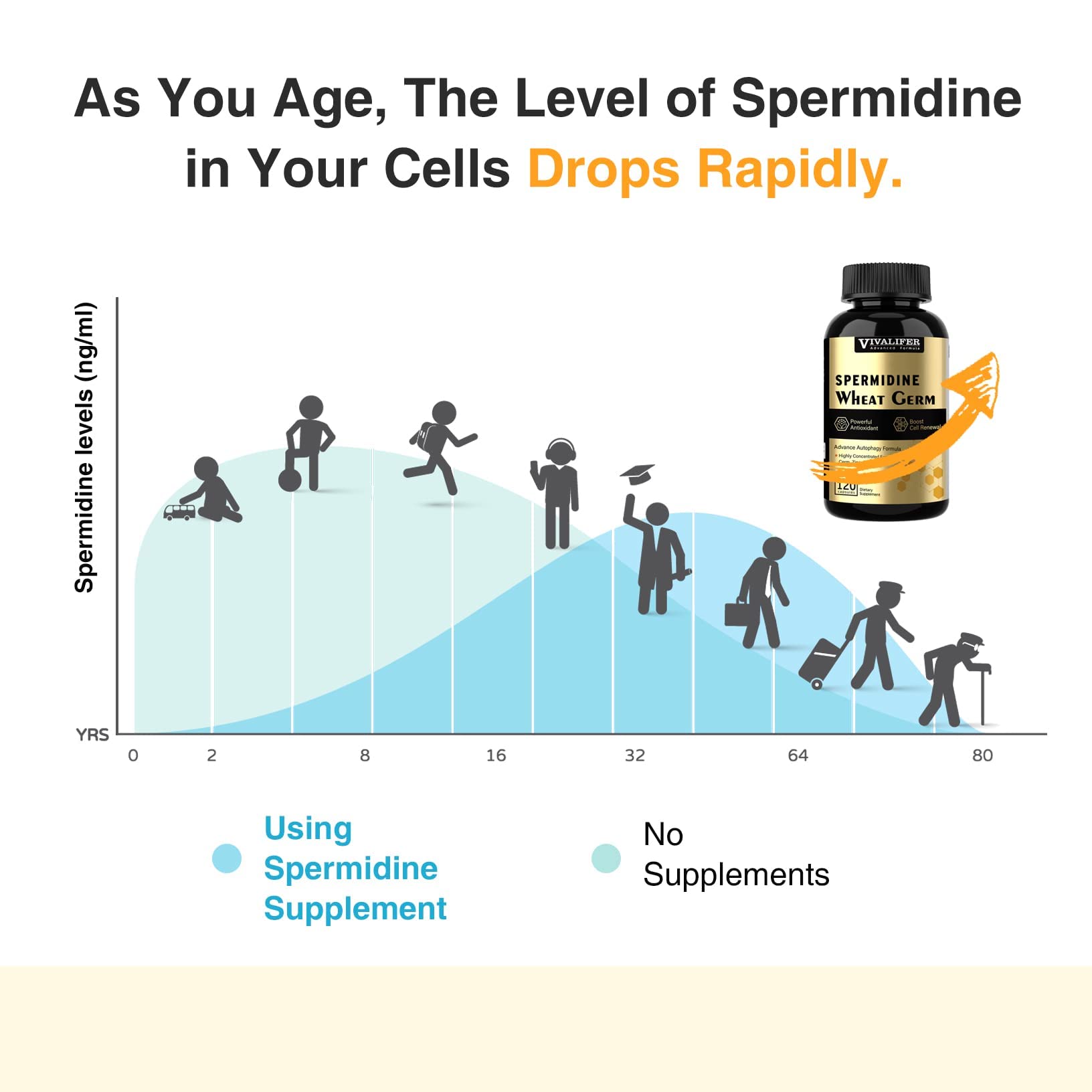 spermidine for youthful skin support