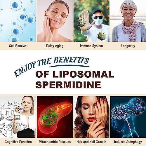 Spermidine multivitamin for active seniors