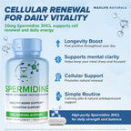Spermidine multivitamin for men’s vitality