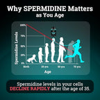 spermidine multivitamin for seniors