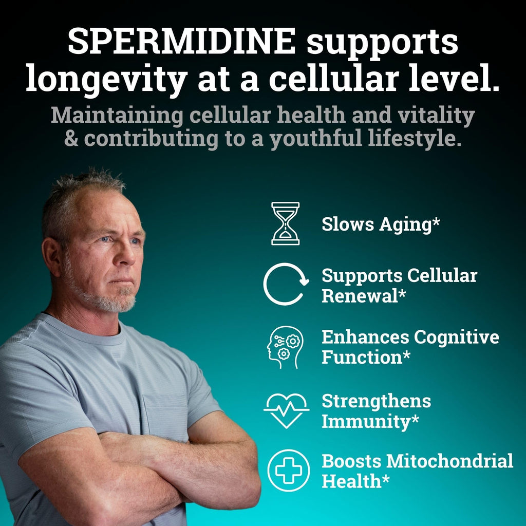 spermidine supplement for daily nutrition