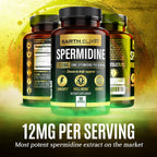 spermidine supplement for healthy aging