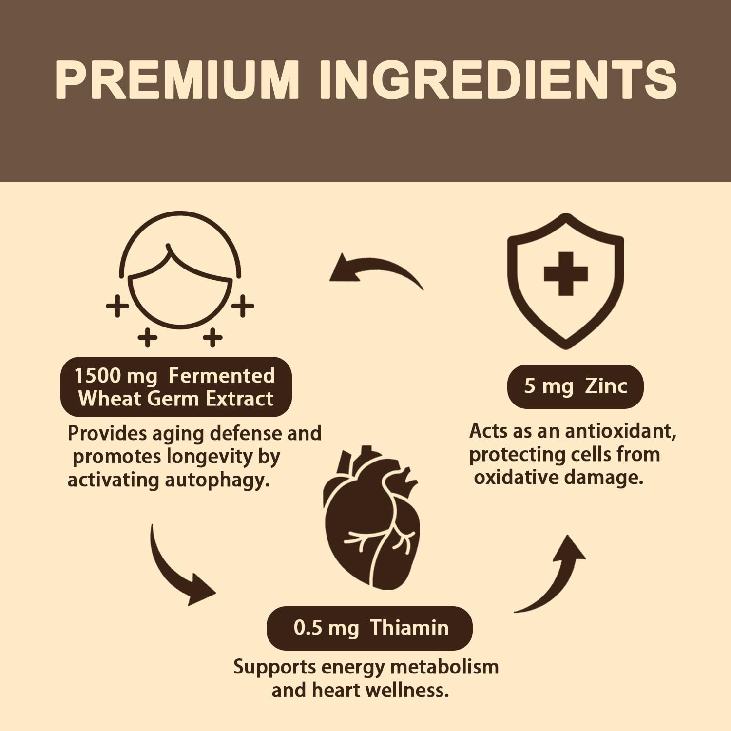 spermidine supplement for wellness