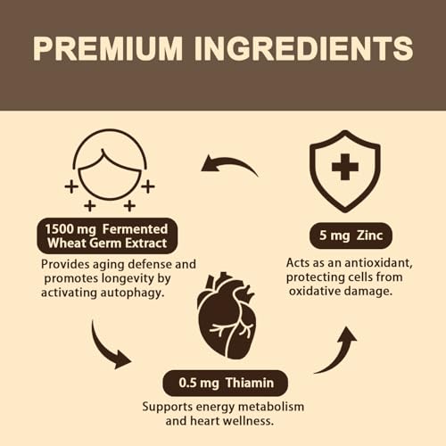 Spermidine supplement for women's wellness