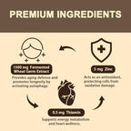 Spermidine supplement for women's wellness