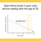 spermidineLIFE daily health support