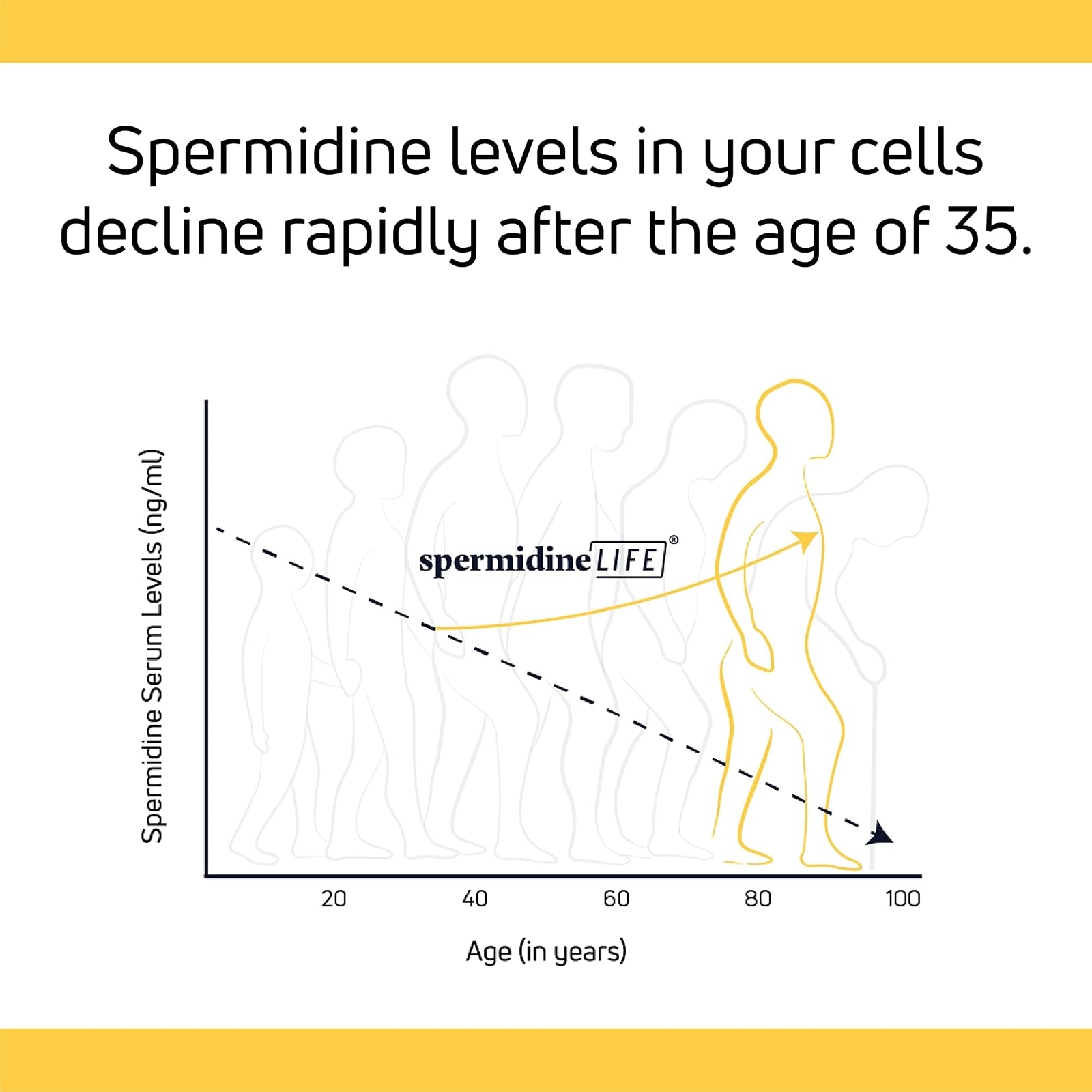 spermidineLIFE daily health support
