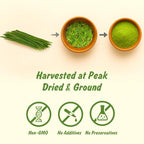Spice Profile wheatgrass for energy boost