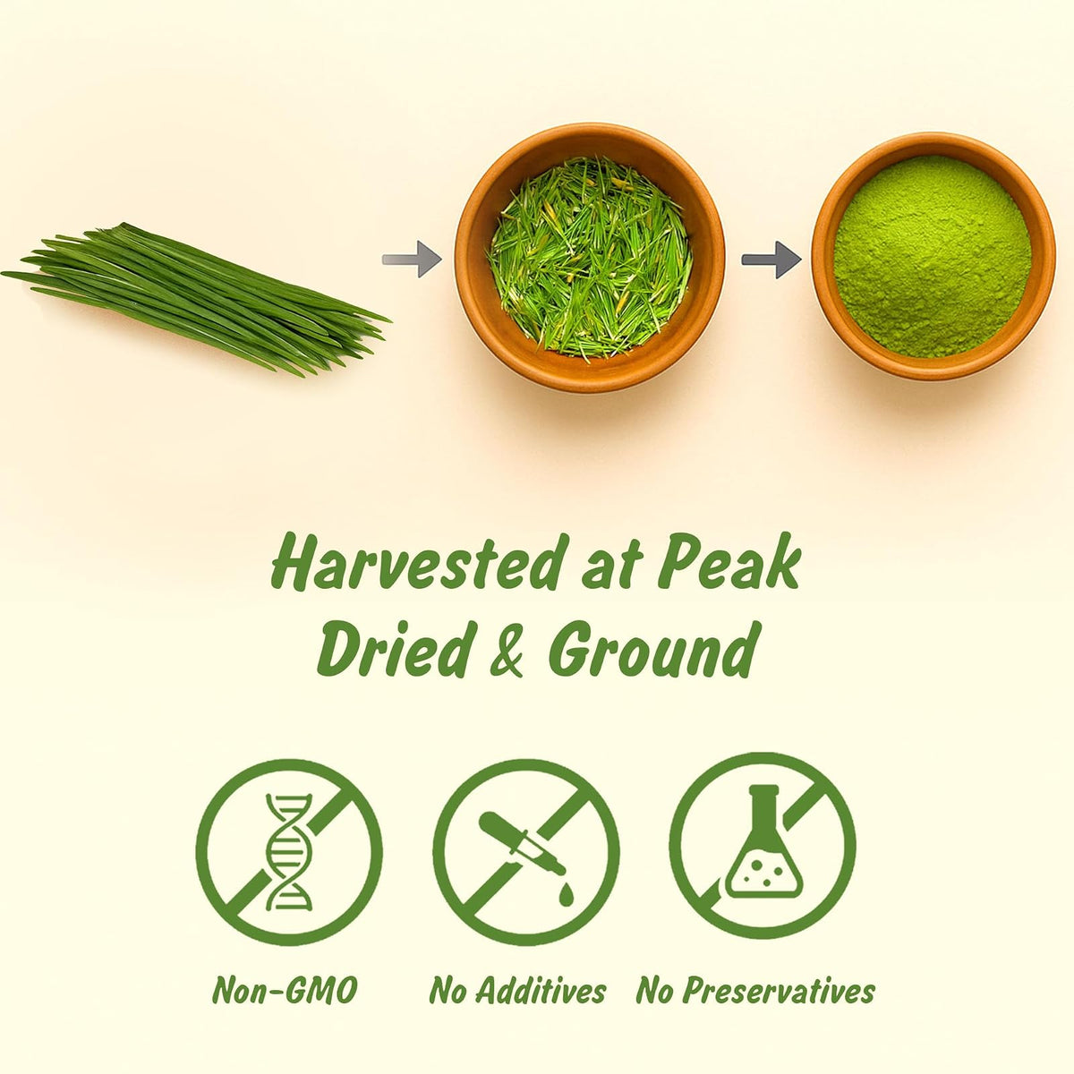 Spice Profile wheatgrass for energy boost