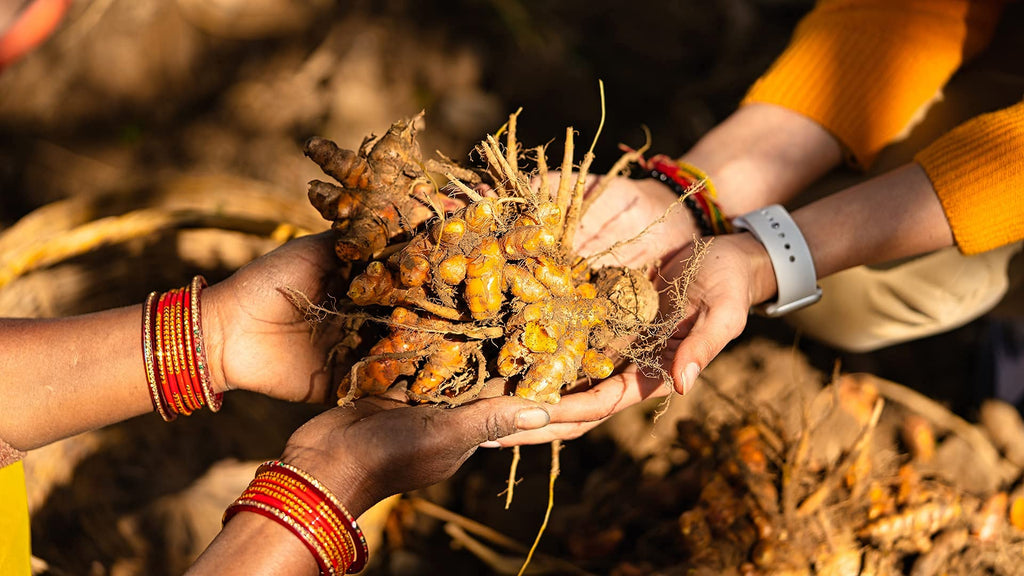 spice up dishes with turmeric