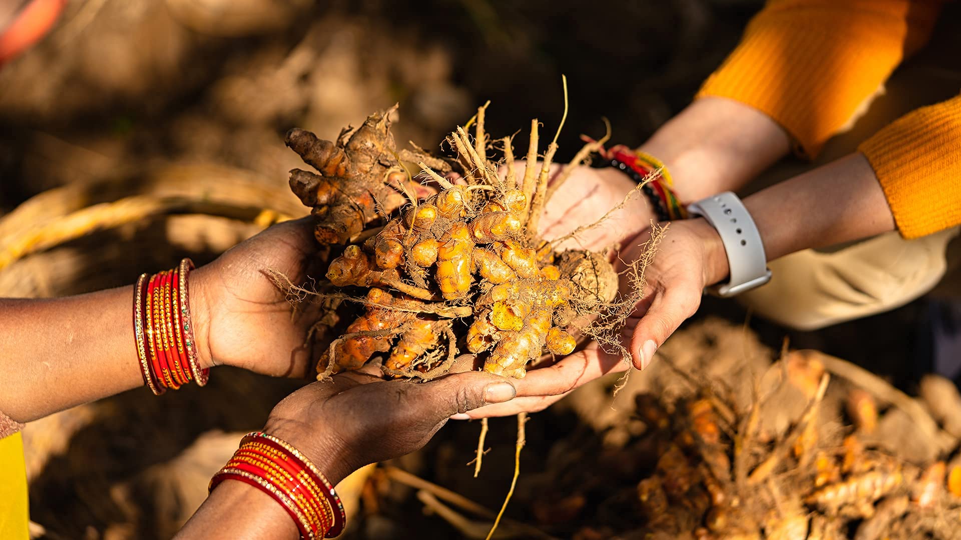 spice up dishes with turmeric