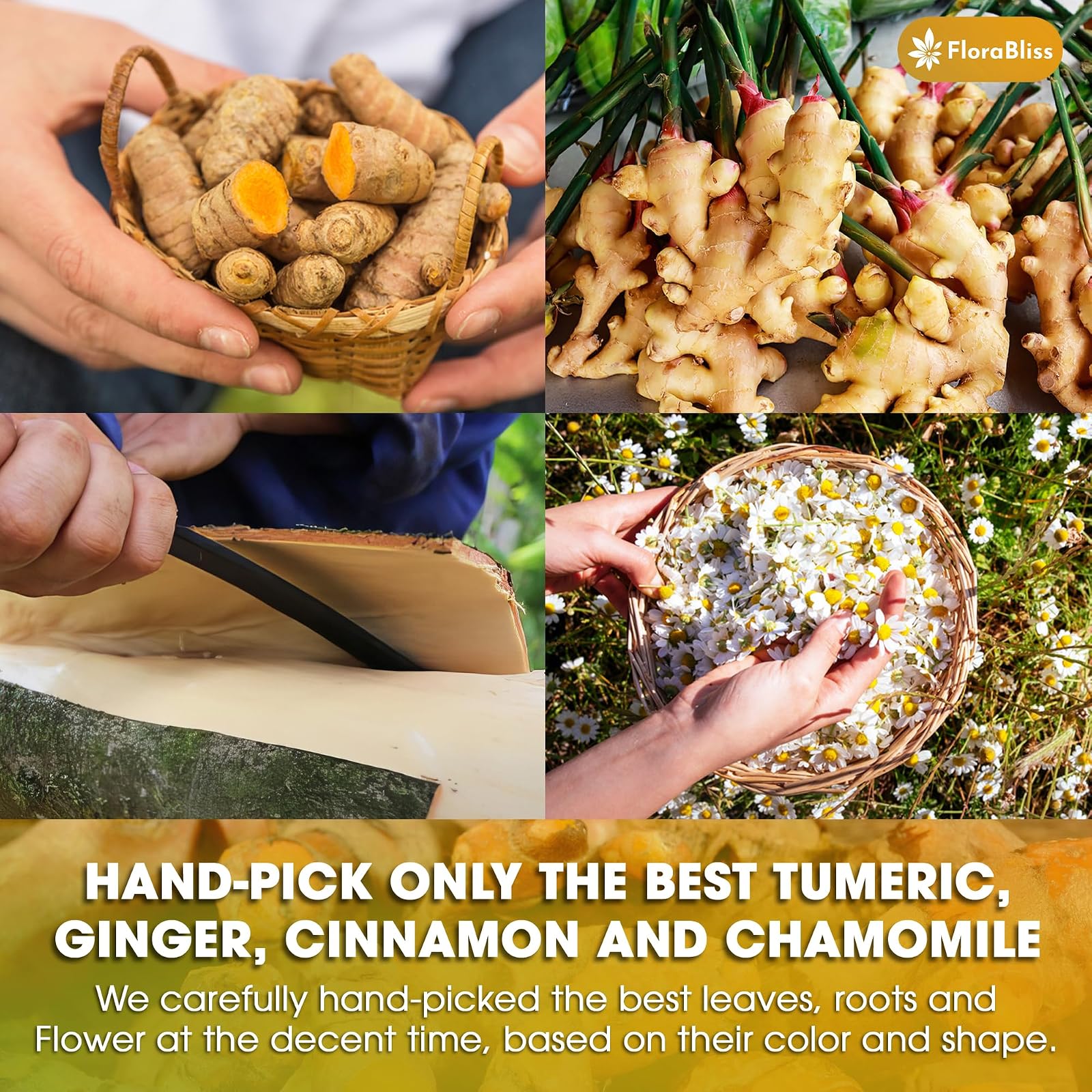 spicy ginger herbal detox tea