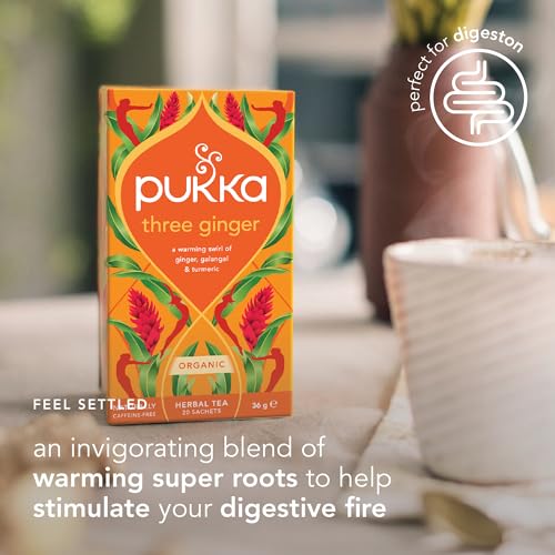 spicy herbal tea with ginger