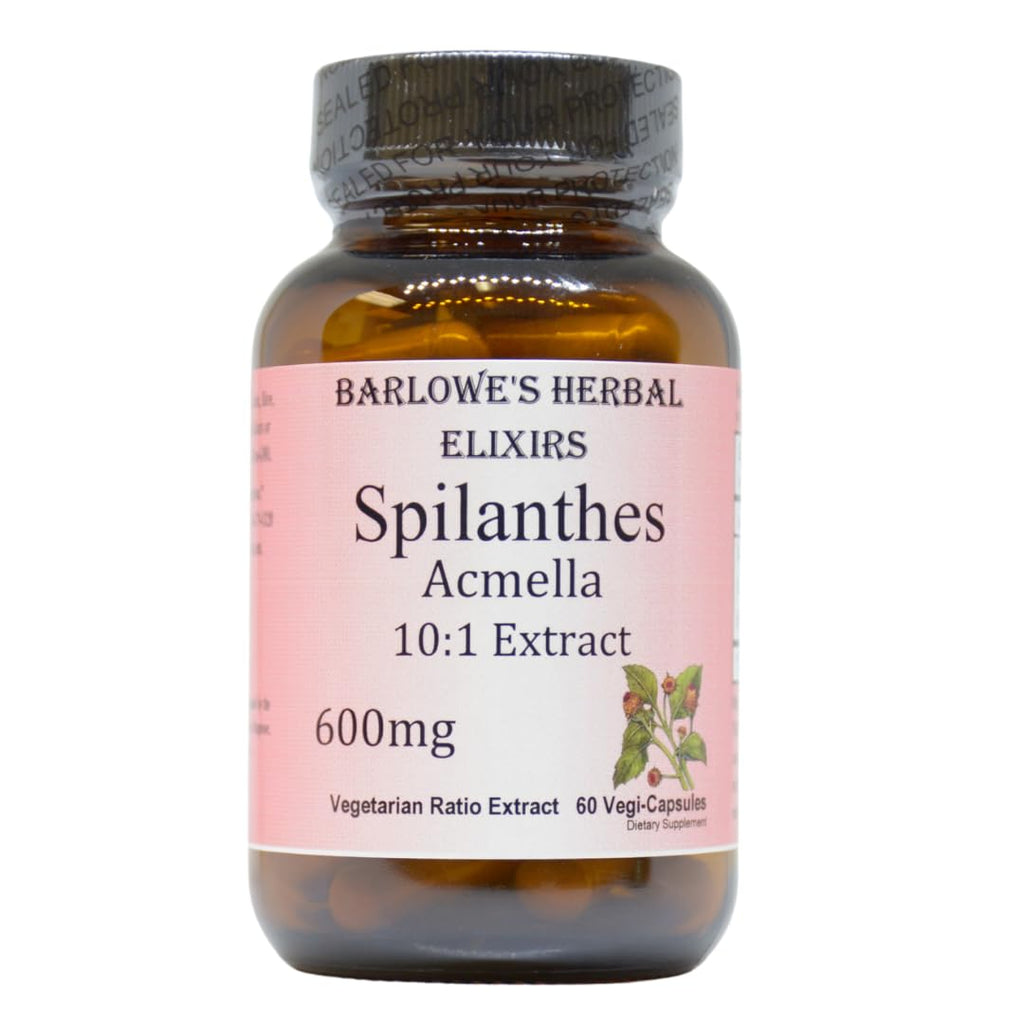 Spilanthes Acmella Extract for wellness