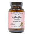 Spilanthes Acmella Extract for wellness