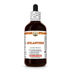 Spilanthes herbal supplement tincture