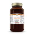Spilanthes herbal tincture for wellness