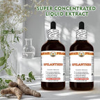 Spilanthes tincture for natural relief