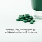 spirulina algae for daily nutrition