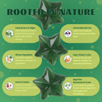spirulina and chlorella benefits