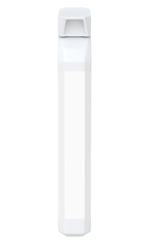 spirulina and chlorella health boost