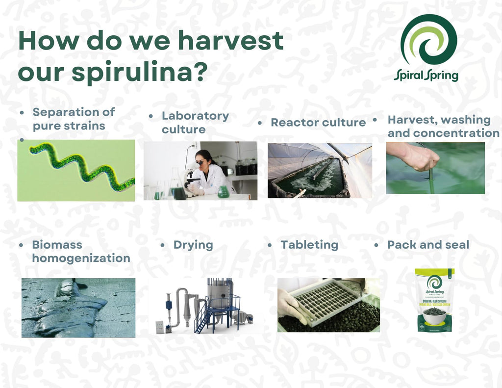 spirulina and quinoa superfood blend